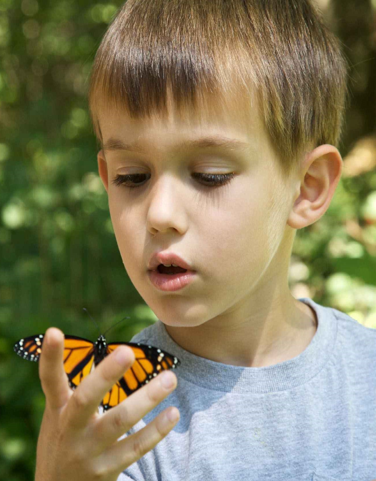 Farmers for Monarchs - Keystone Policy Center